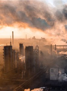 Cordin Group | Codrin Carbon | International Forestry Product Supplier